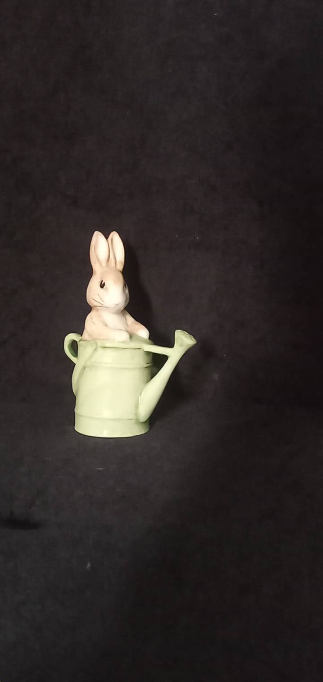 Royal Doulton Beswick Peter in the Watering Can Beatrix Potter - Etsy