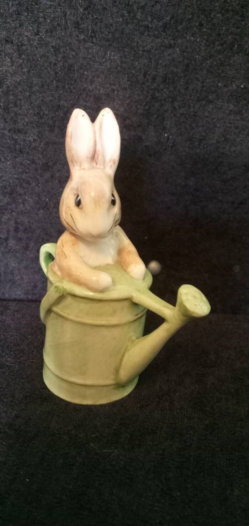 Royal Doulton Beswick Peter in the Watering Can Beatrix Potter - Etsy