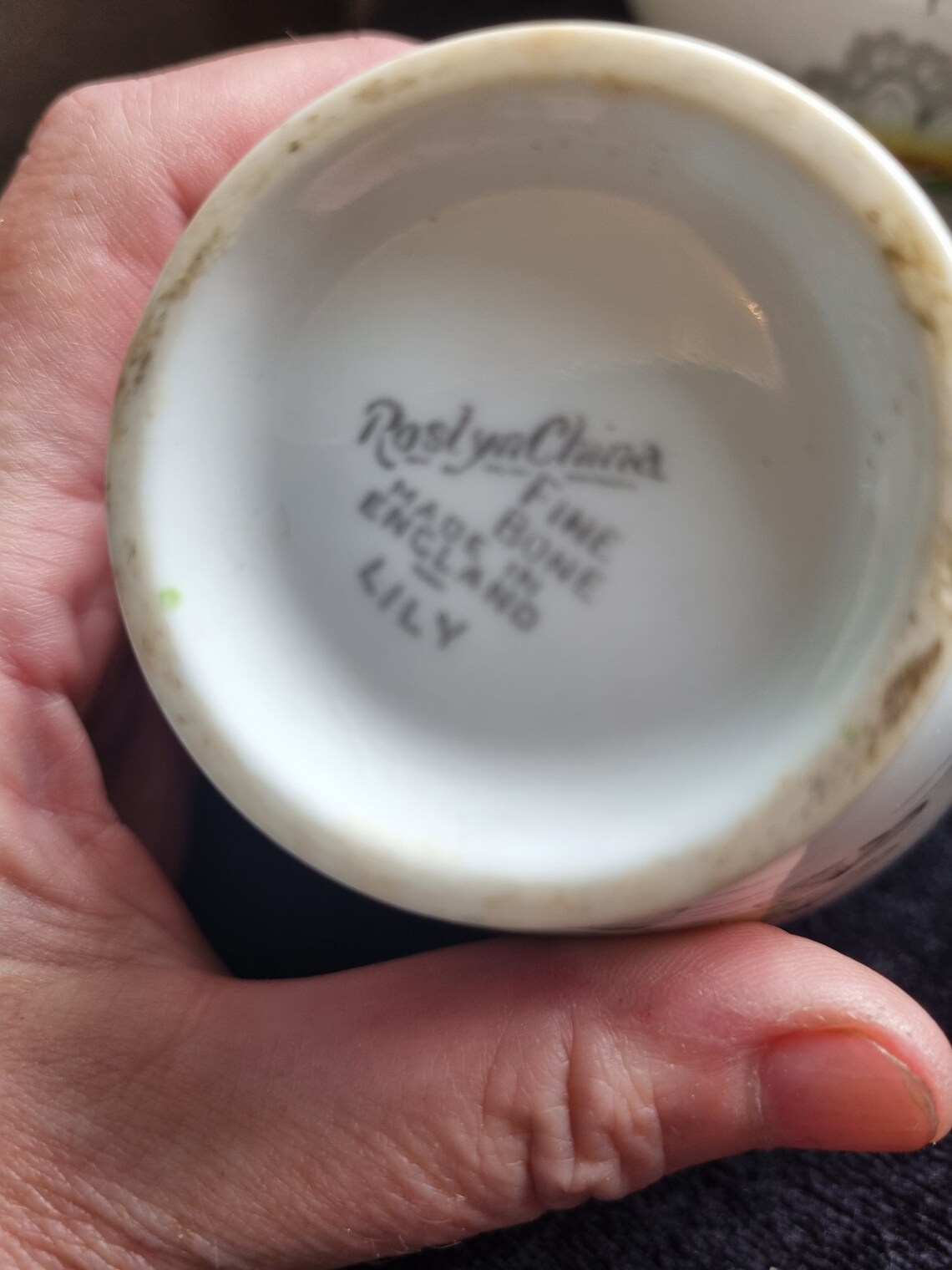 Roslyn China Teaset Lily Pattern - Etsy