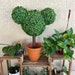 One of a Kind Mickey Mouse Head Topiary | Patio | Home Decor | Gift ...