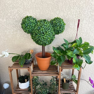 One of a Kind Mickey Mouse Head Topiary | Patio | Home Decor | Gift ...