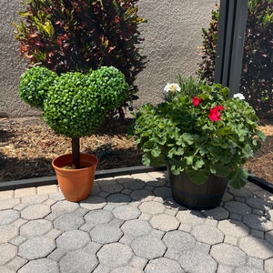 One of a Kind Mickey Mouse Head Topiary | Patio | Home Decor | Gift ...