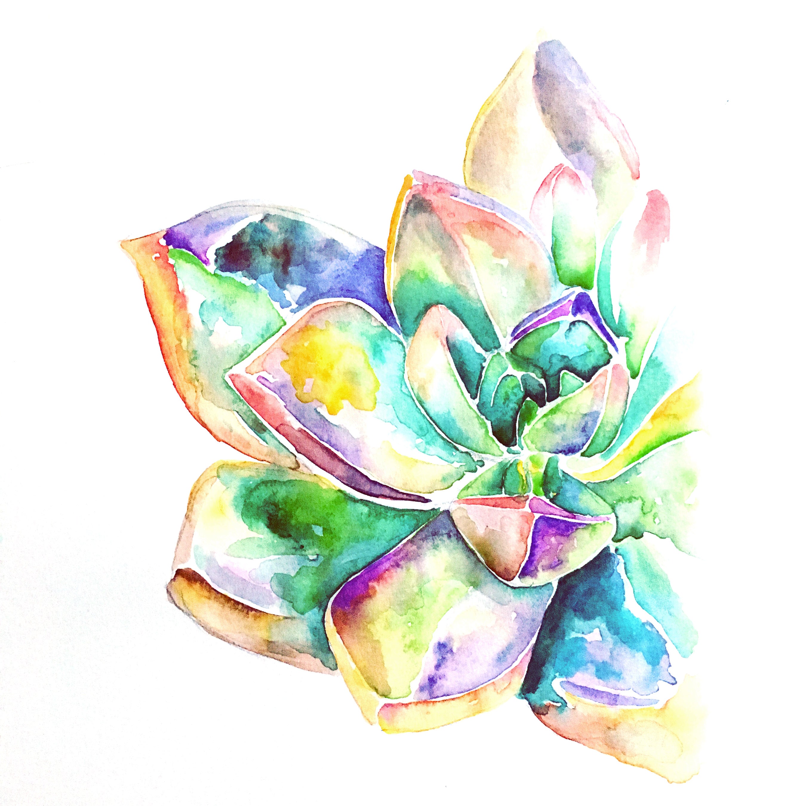Colorful Succulent Digital File Hand-painted 300 DPI Convenient 9x9 ...