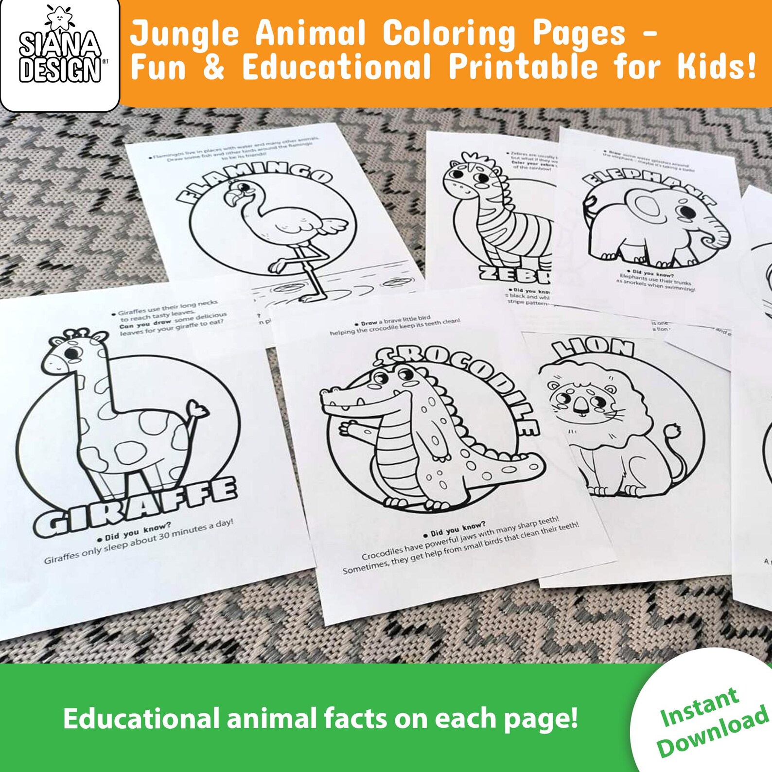 Jungle Animal Coloring Pages – Fun & Educational Printable for Kids ...