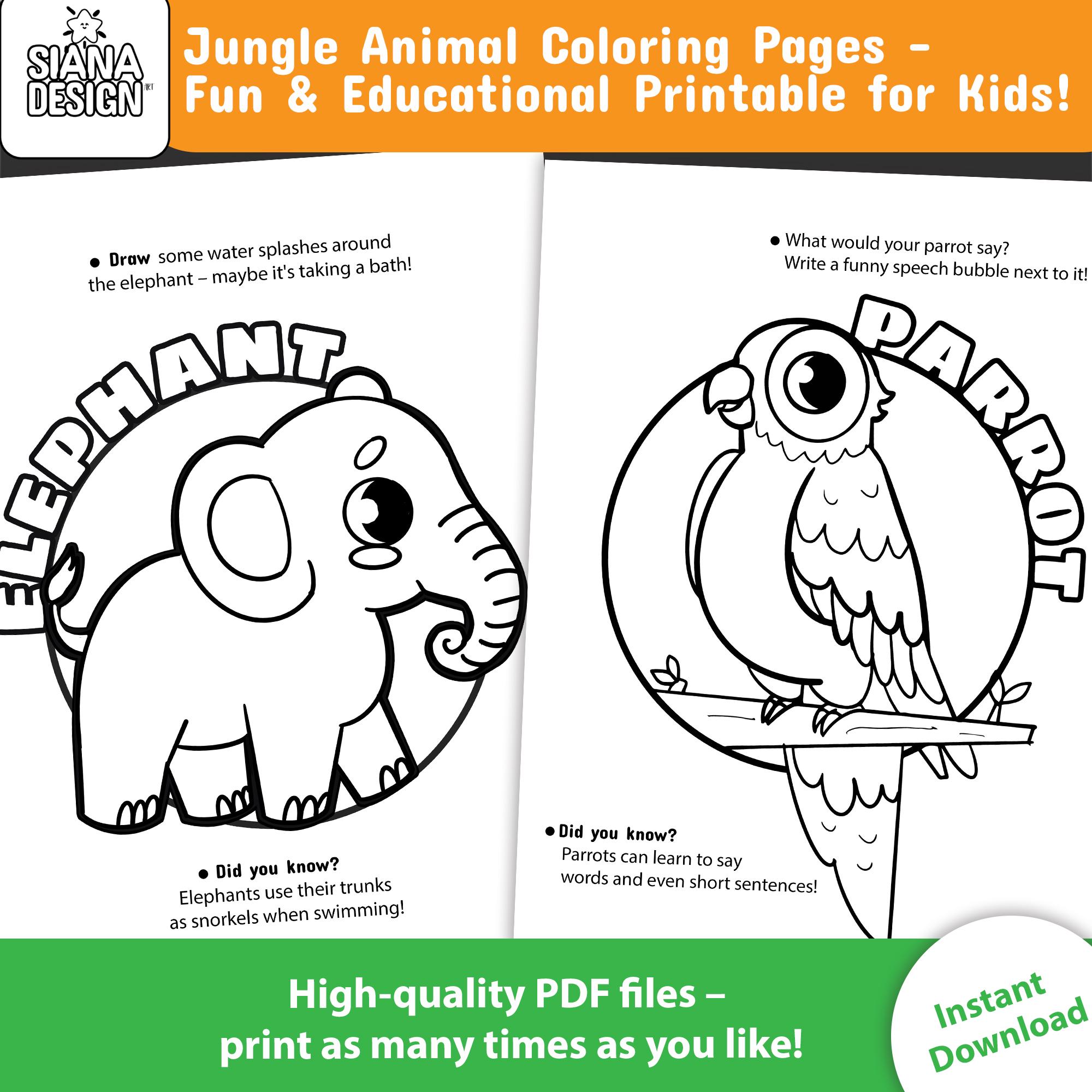 Jungle Animal Coloring Pages – Fun & Educational Printable for Kids ...
