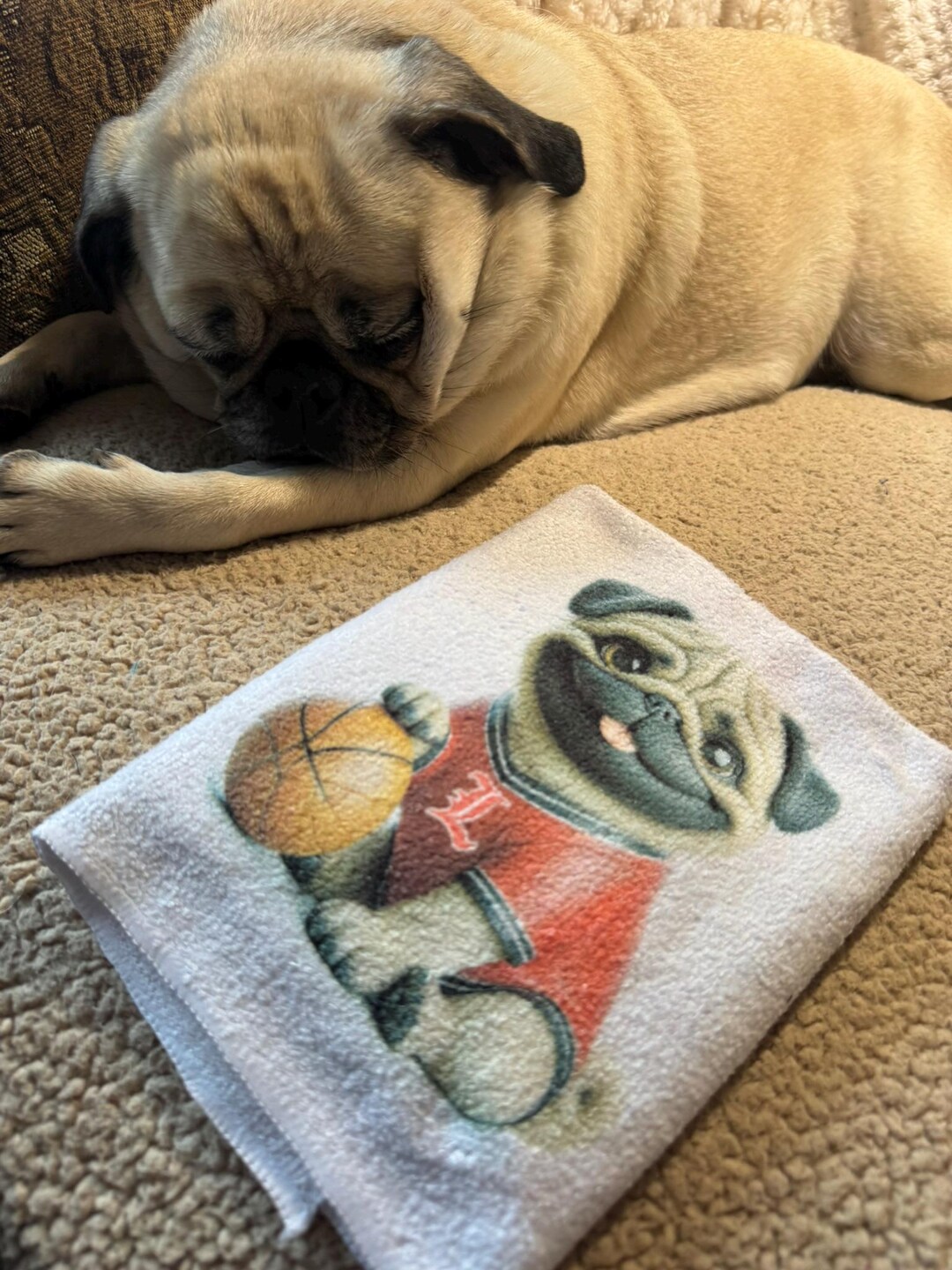 University of Louisiana Fans!!! - 100% Goes to Charity the Pug Queen - Etsy