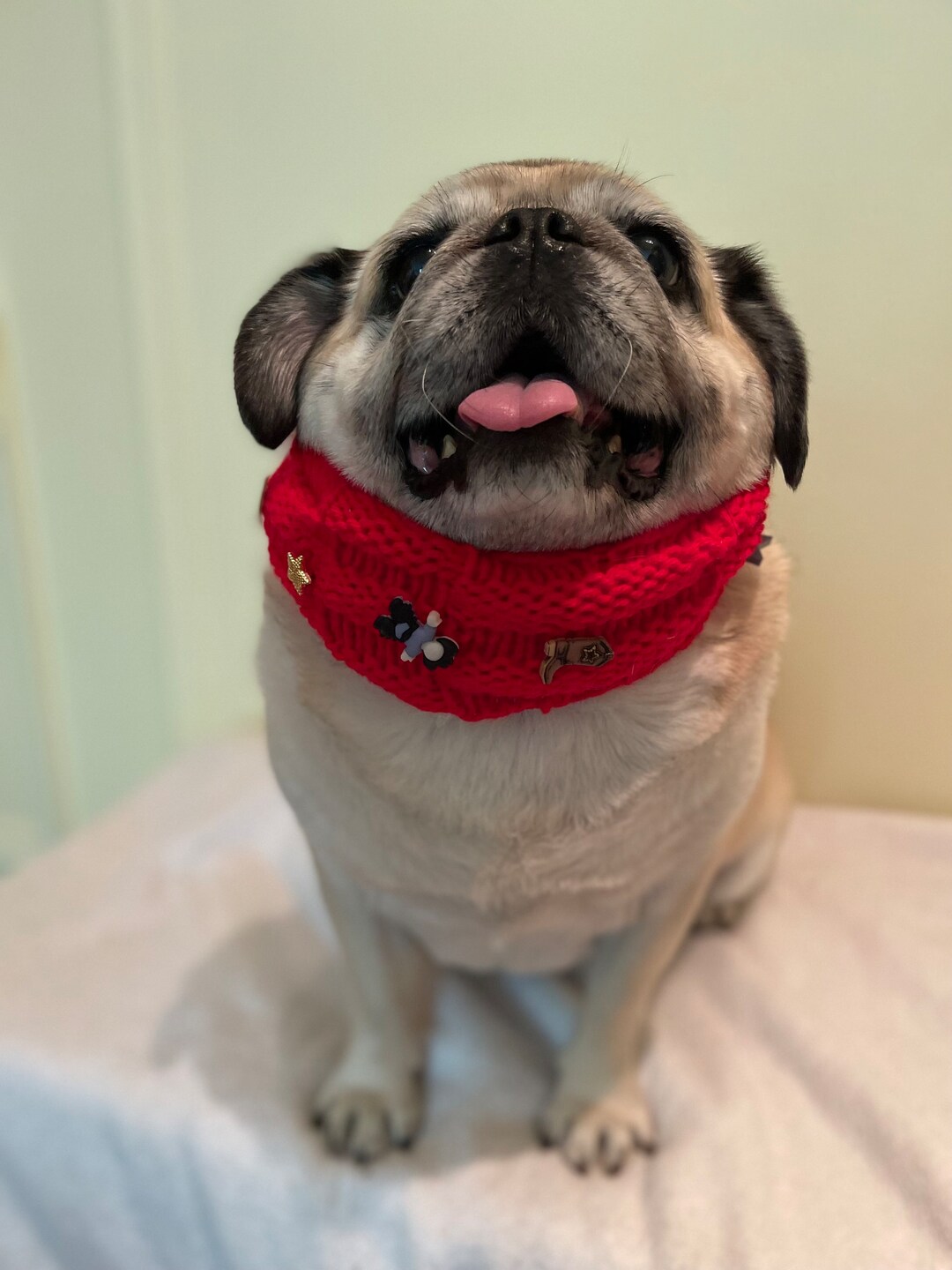 Cowboy Charms on a Premium Red Collar for Pug / Dog - 100% Goes to Pug ...