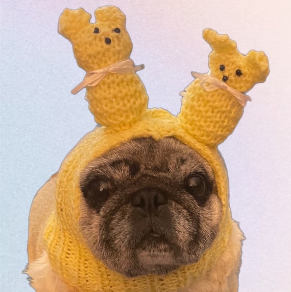 Knit Pug Hats