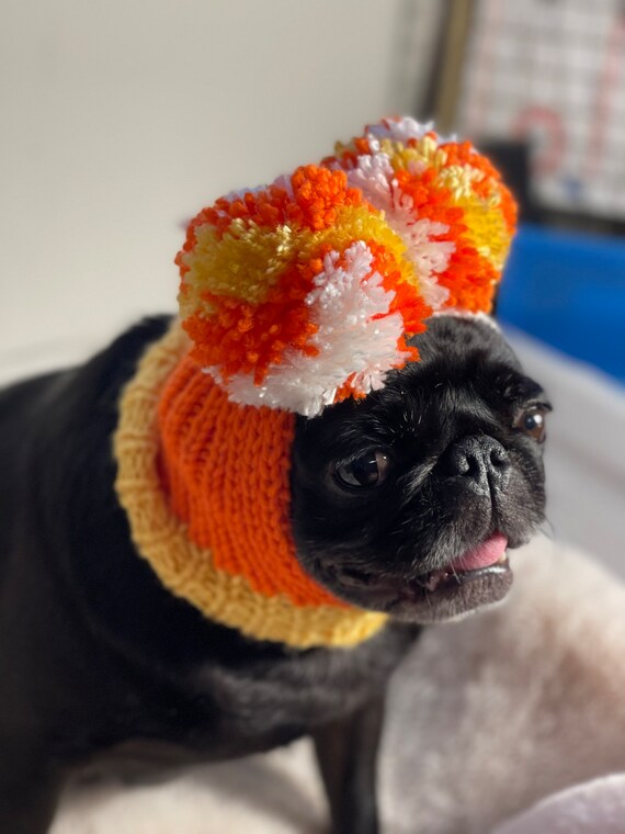 Knit Pug Hats