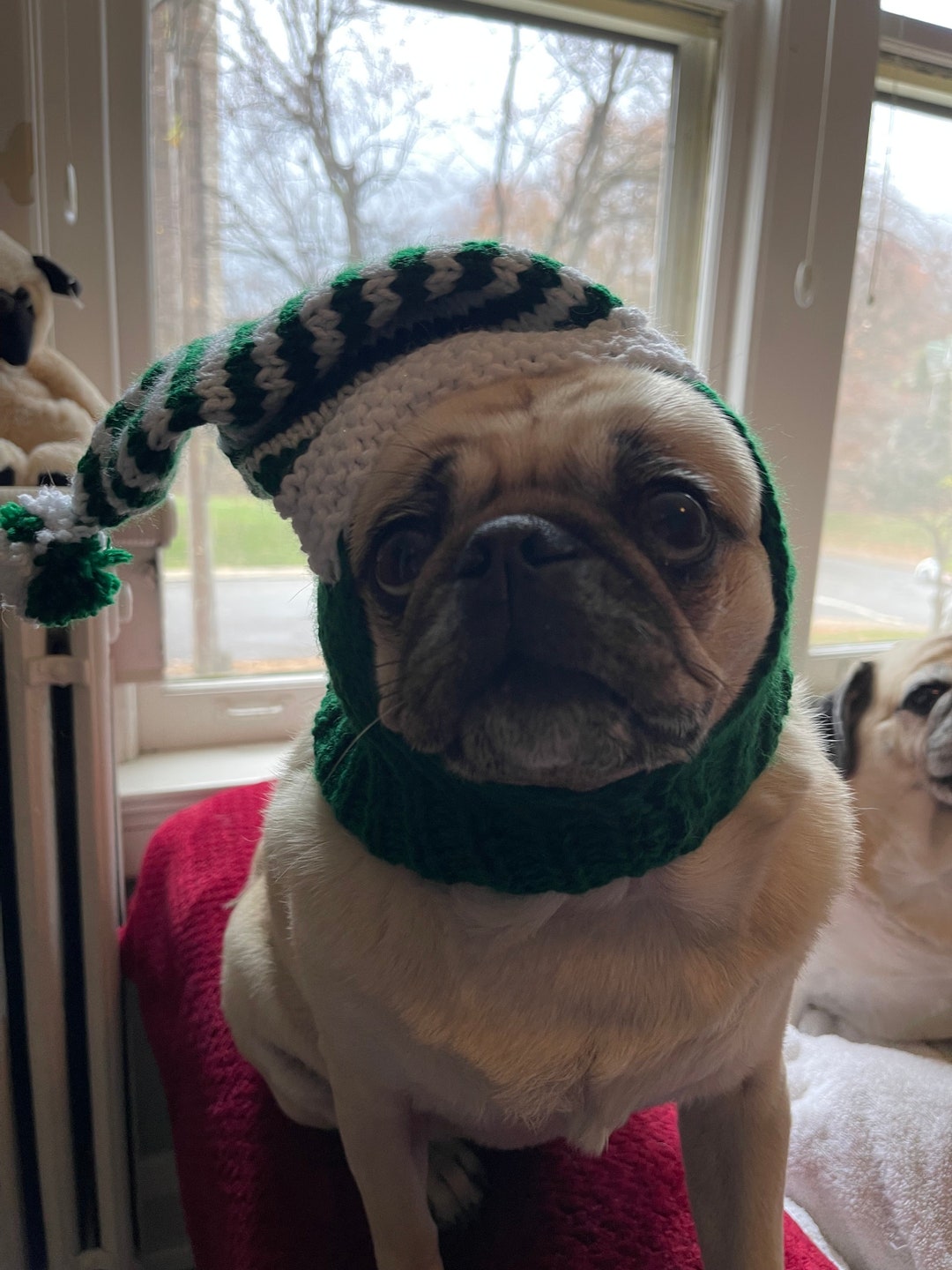 Knit Elf Pug Hat/ Santa's Little Elf Snood for Pugs/ Christmas Pug Hat ...