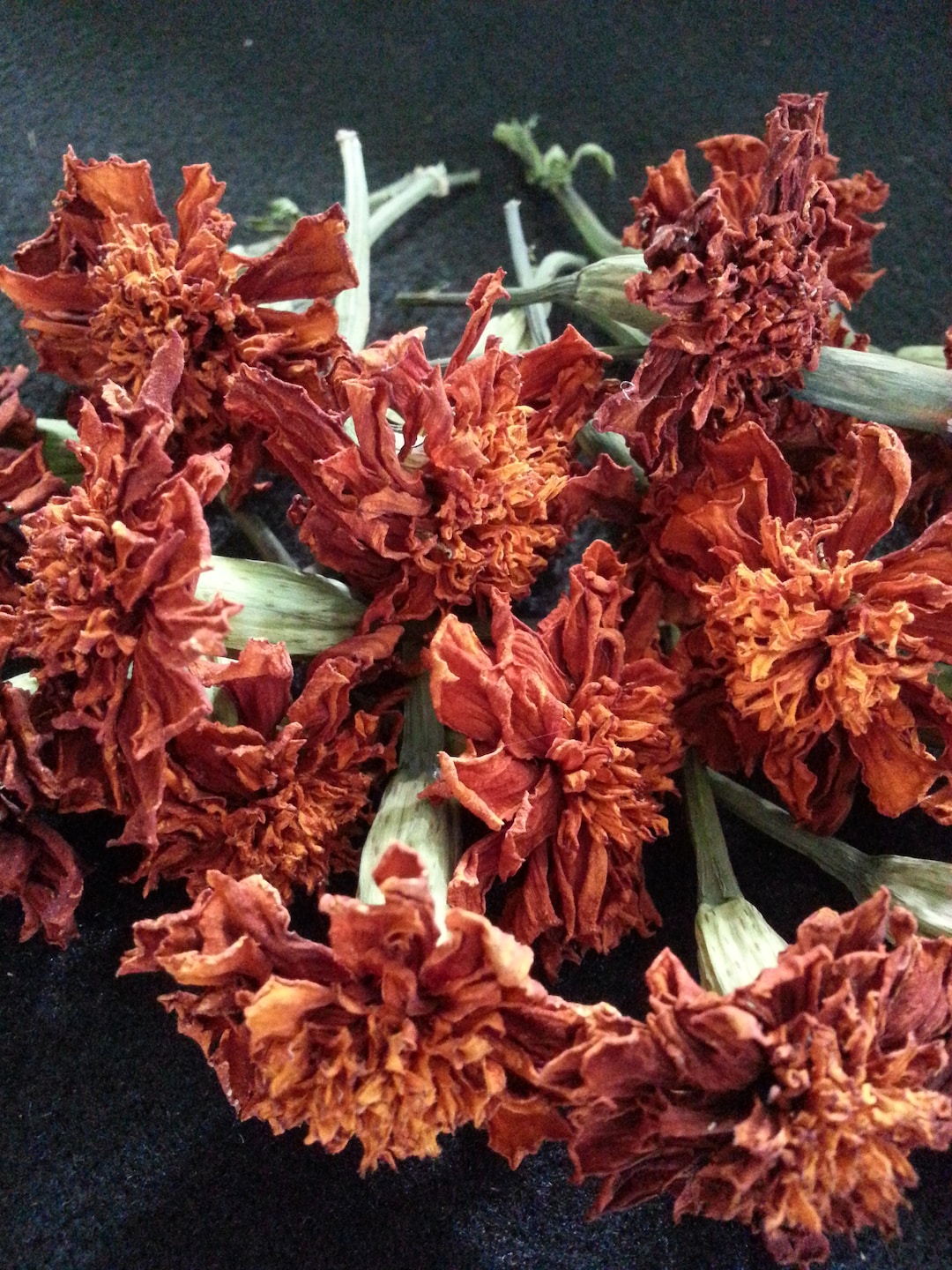 25 Mini Marigold, Burnt Orange/umber, 1" Flower Heads, 2-3" Total ...