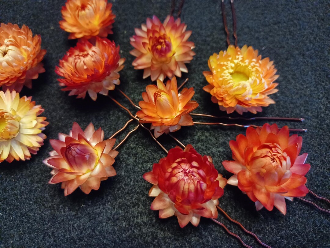 10 Mini Strawflower Hair U-pins, Fruit Salad. 3/4 to 1