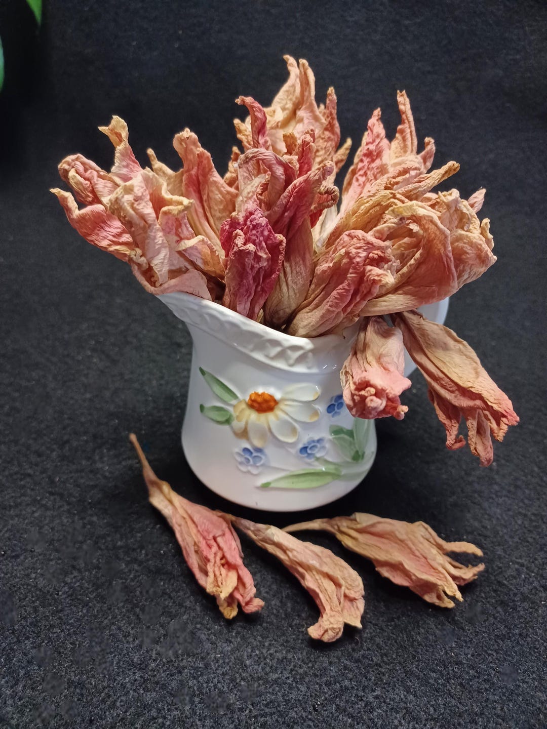 20 Dried Gladiola Flowers, Salmon Shades, 2-3 Total Length, Small Dried ...