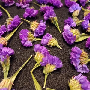 50 Statice Flowers, Dark Violet Tones, 1/2 to 3/4, Mini Dried Flowers ...