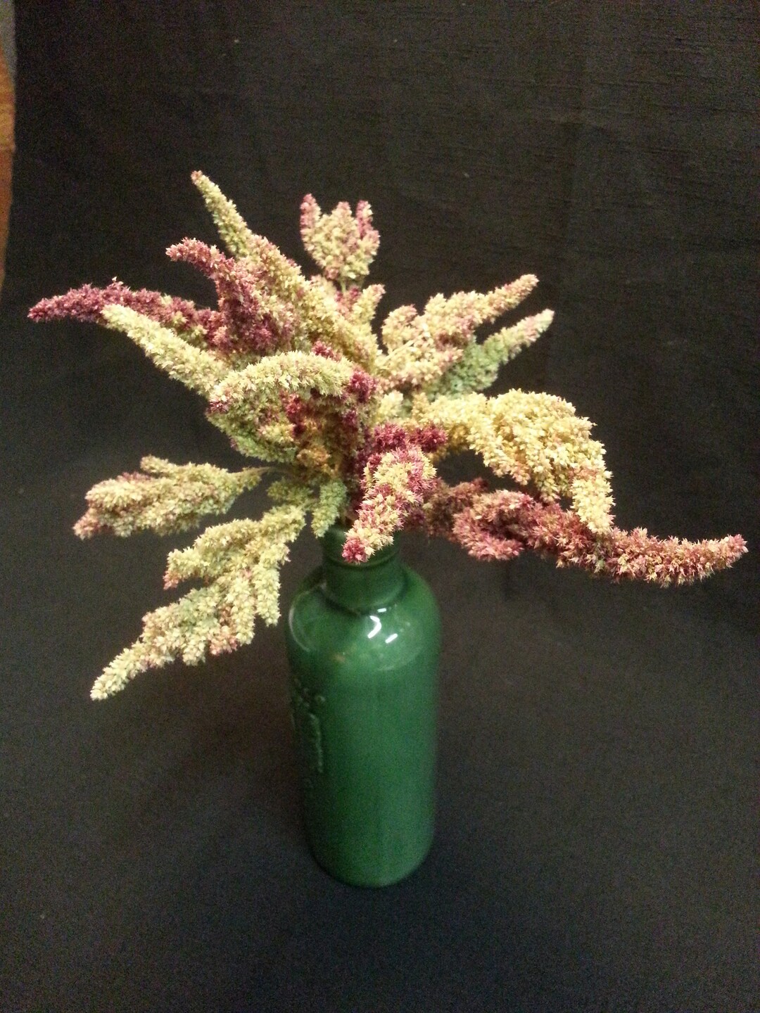 20 Amaranth, Marbled Colors. 6-8 Total Length, Dried Flowers, Marbled ...
