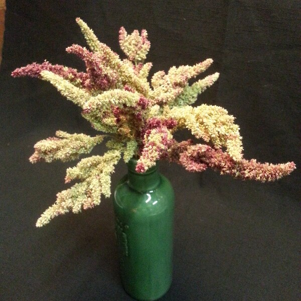 Amaranth Crown - Etsy