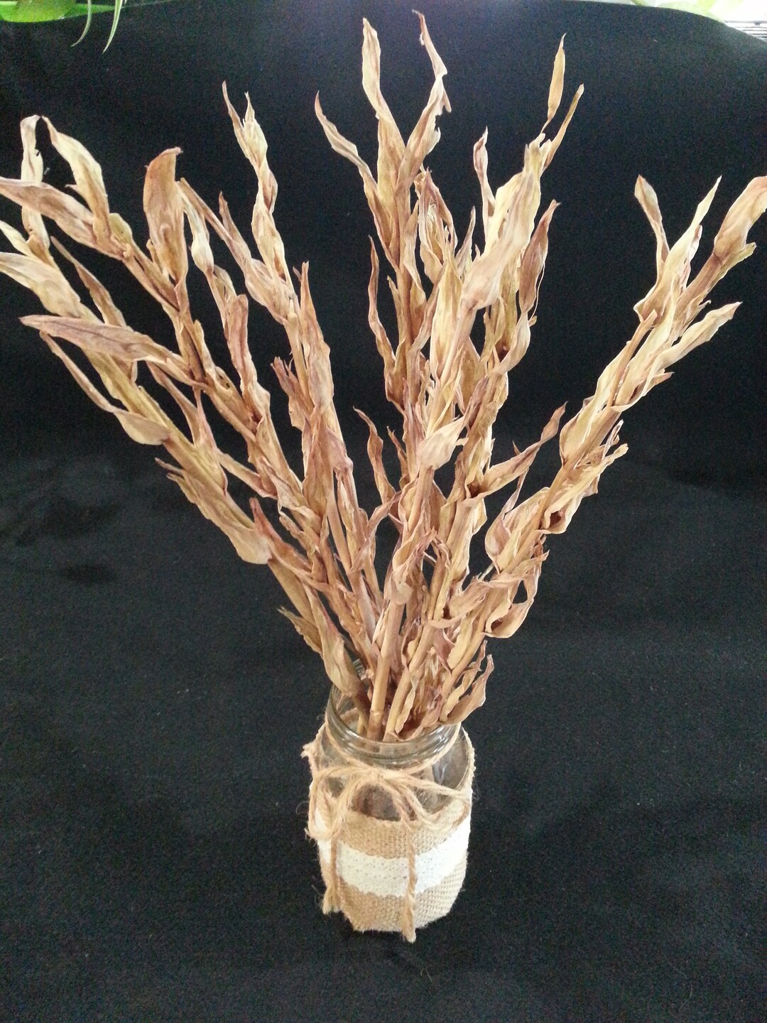 12 Dried Mini Corn Stalks , 15-16" Total Length, Dried Flowers - Etsy