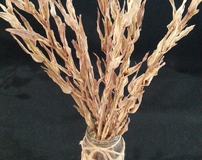 12 Dried Mini Corn Stalks , 15-16" Total Length, Dried Flowers - Etsy