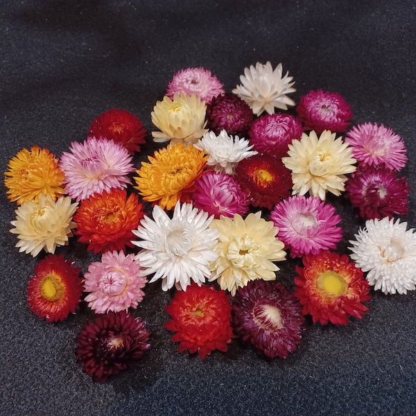 Straw Flowers - Etsy