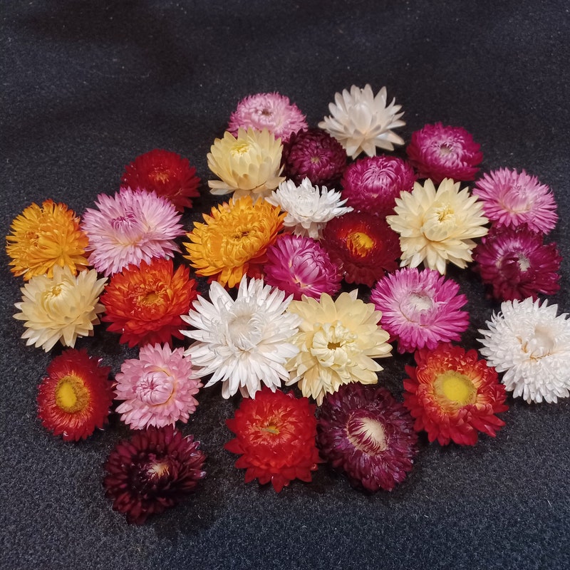 Bouquet Flower Heads - Etsy