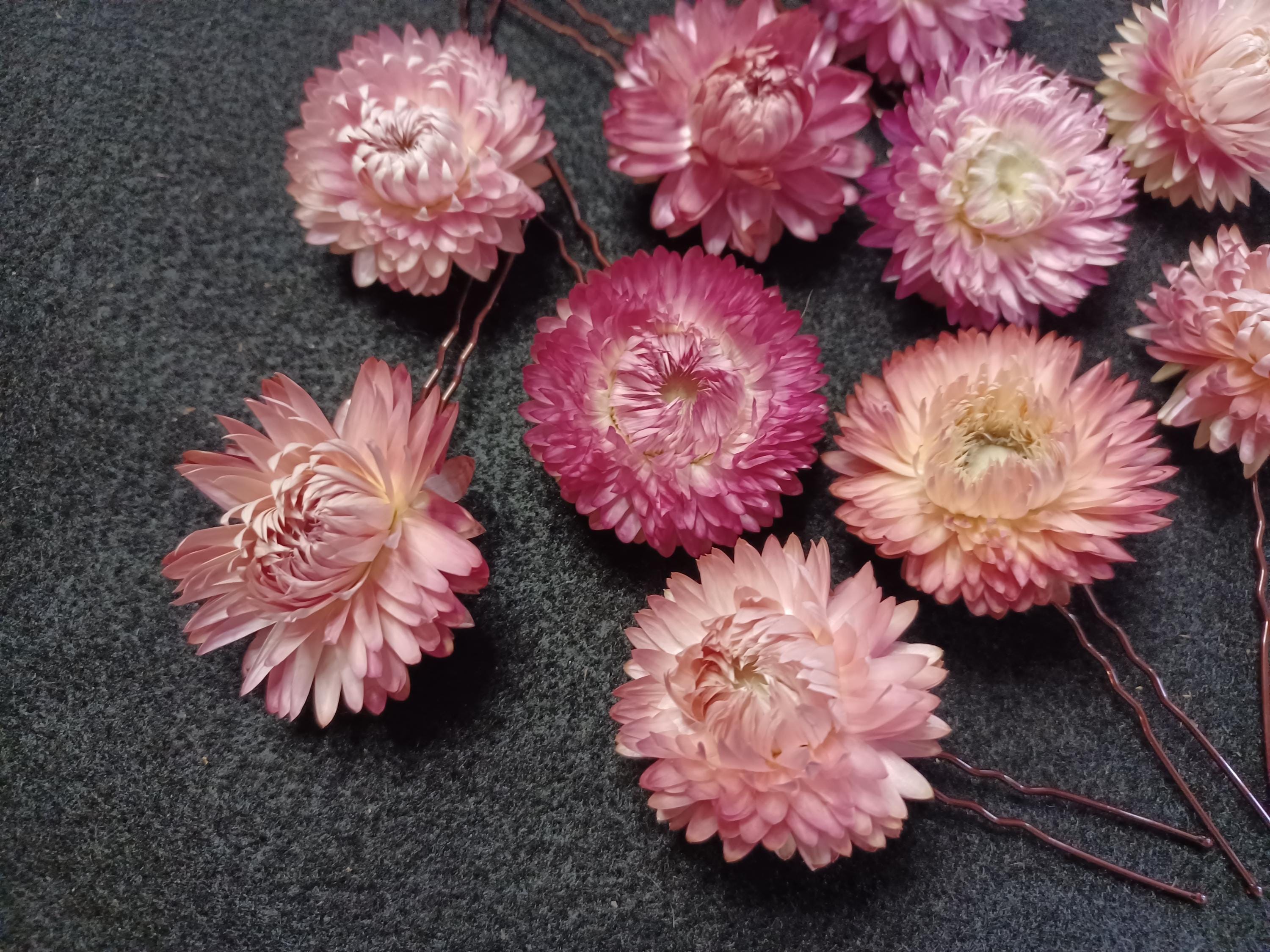 10 Strawflower Hair U-pins, Pink Mix. 1 1/2