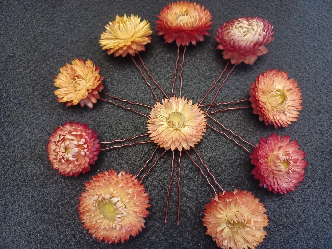 10 Strawflower Hair U-pins, Fruit Salad Mix. 1 1/2