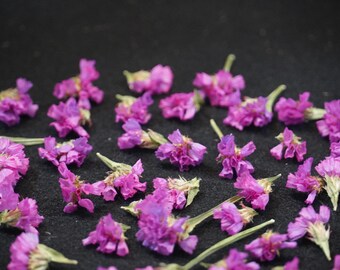 50 Statice Flowers, Dark Violet Tones, 1/2 to 3/4, Mini Dried Flowers ...