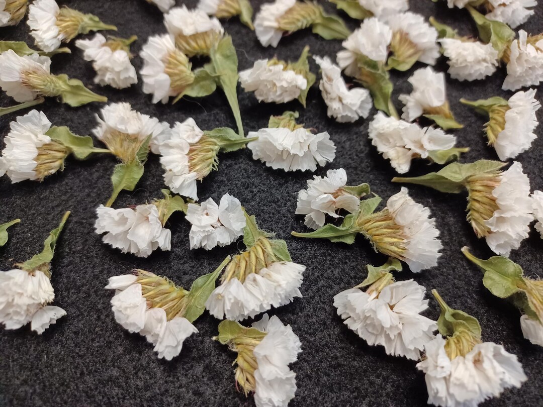 50 Statice Flowers, White, 1/2 to 3/4, Mini Dried Flowers, Resin ...
