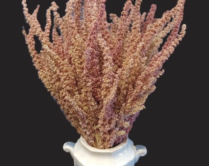 35 Amaranth, Dusky Rose, 10-12" Total Length, Dried Flowers, Dried ...
