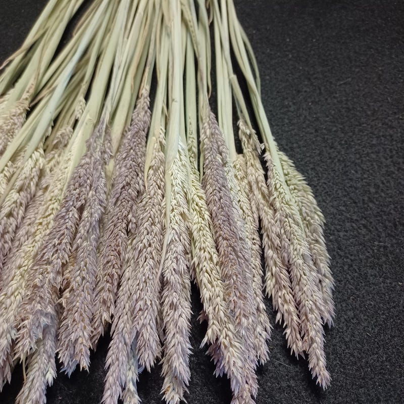 Dried Grasses Bouquet - Etsy