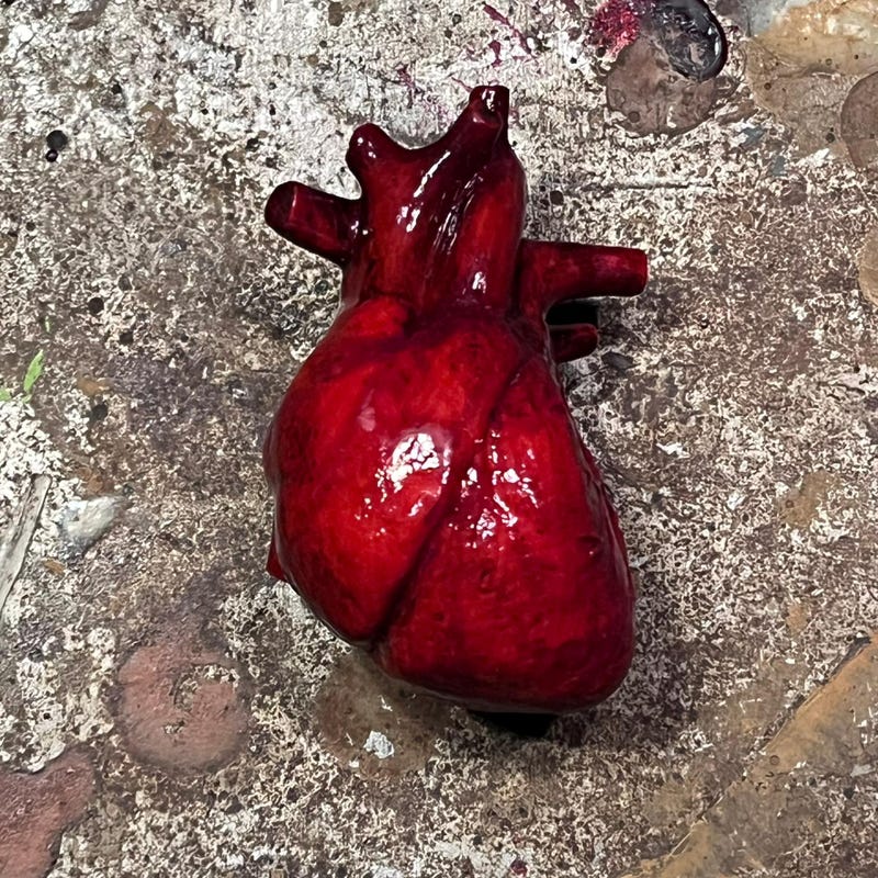 Real Realistic Heart - Etsy