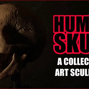 Realistic Human Skull Sculpture, Halloween Decor Skull Collectible ...