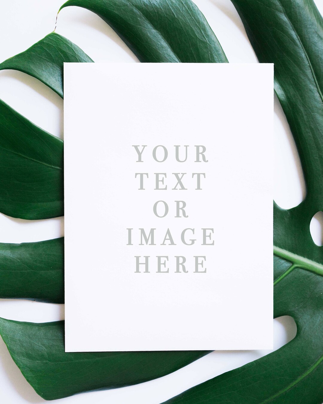Monstera Wedding Invitation Mockup | Styled Stock Photo Image With ...
