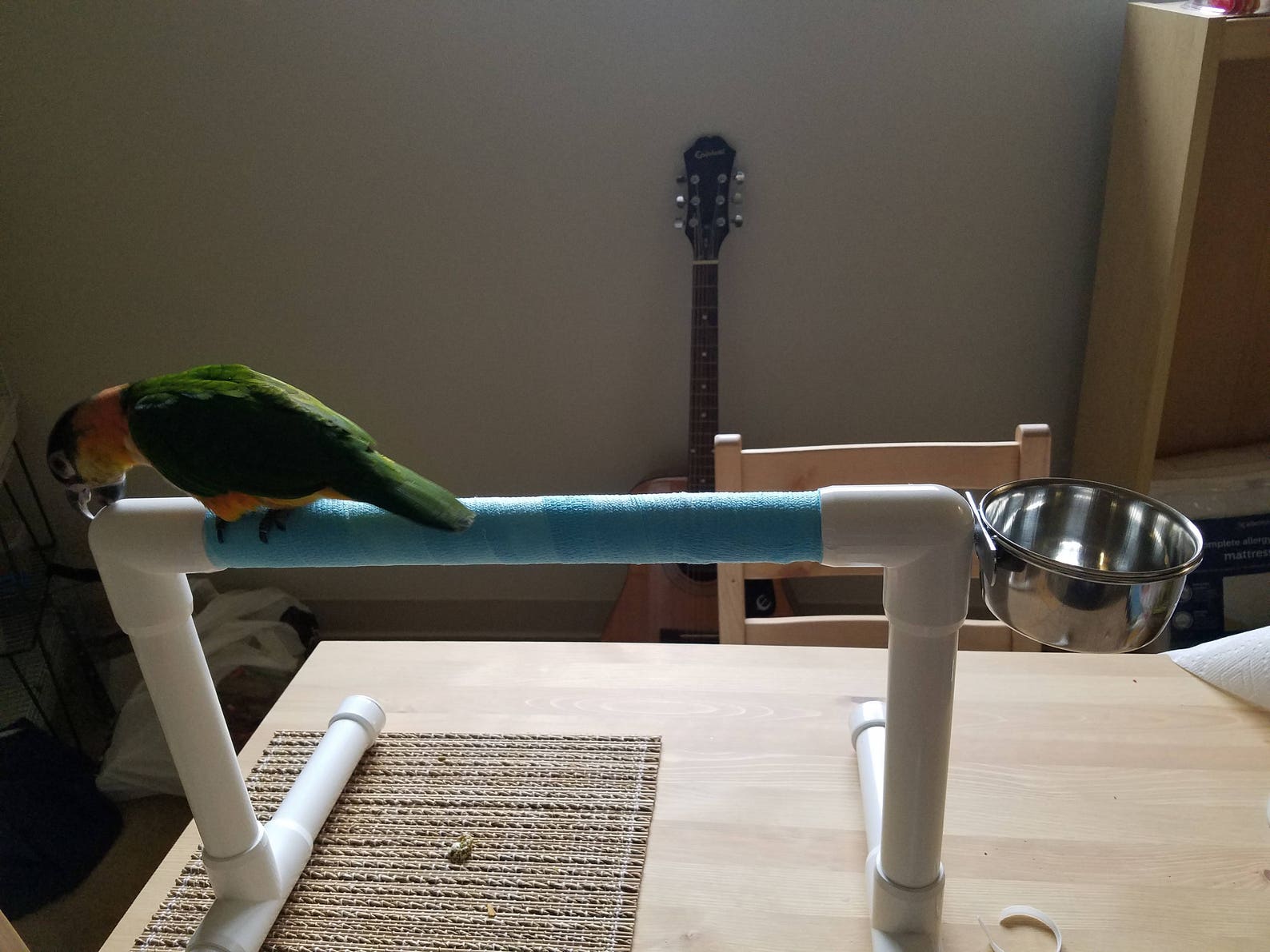 THE MOVER Large: Portable Parrot Perch W/ Cup for Amazons, Cockatoos ...