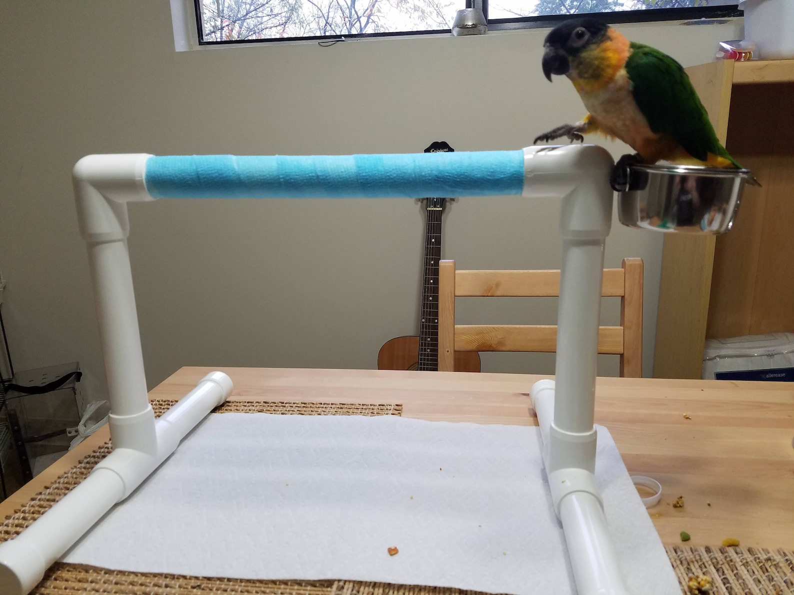 THE MOVER Large: Portable Parrot Perch W/ Cup for Amazons, Cockatoos ...