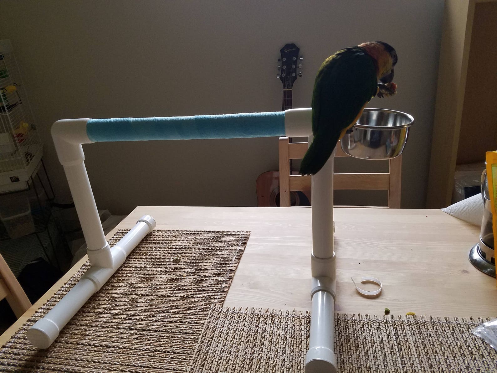 THE MOVER Large: Portable Parrot Perch W/ Cup for Amazons, Cockatoos ...