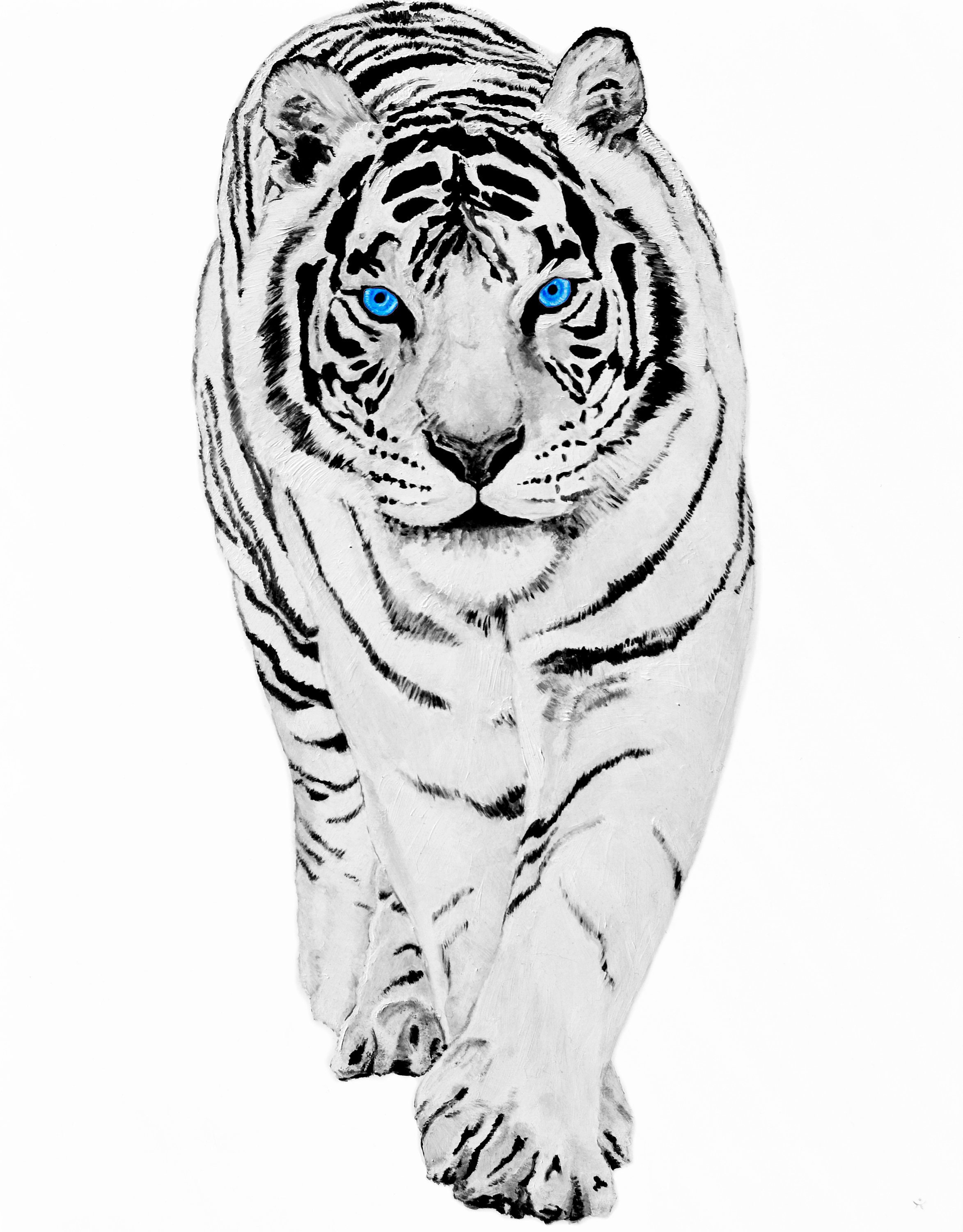 Icy Gaze - White Tiger (original) - Etsy