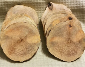 Hickory wood slices | Etsy