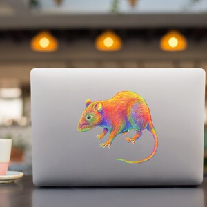 Psychedelic Rainbow Rat Colorful Trippy Rodent Vinyl Stickers - Etsy