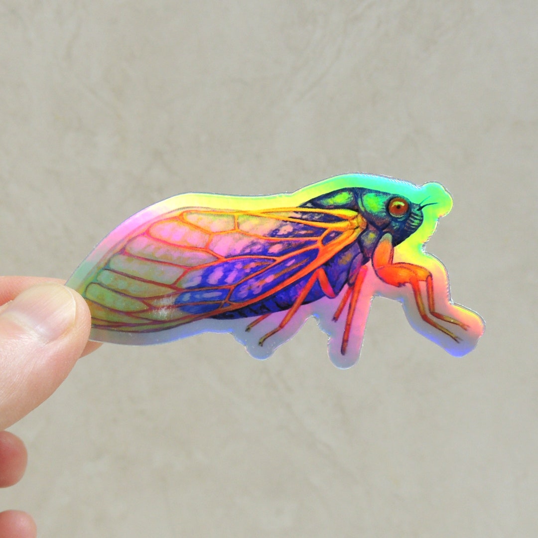 Rainbow Cicada Psychedelic Bugs Trippy Insect Colorful Pop Art Decals ...