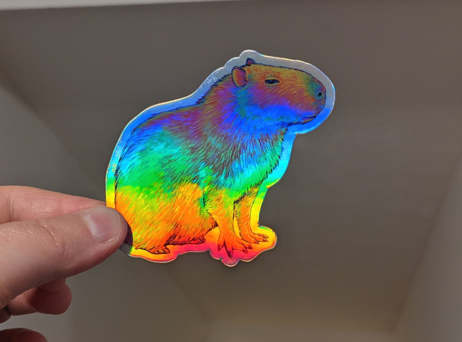 Psychedelic Rainbow Cute Capybara Trippy Holographic Vinyl - Etsy