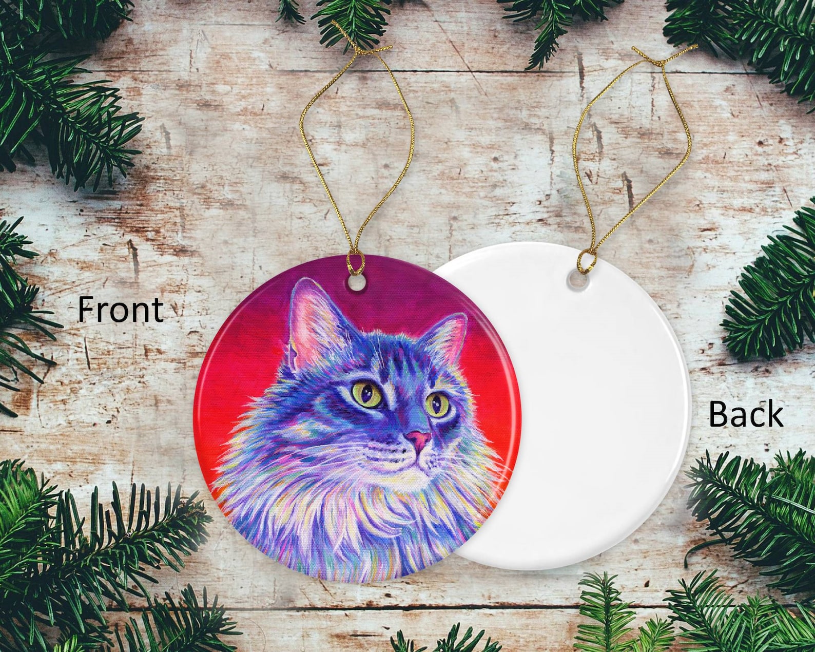 Cute Purple Maine Coon Tabby Cat Colorful Rainbow Kitty Pop - Etsy