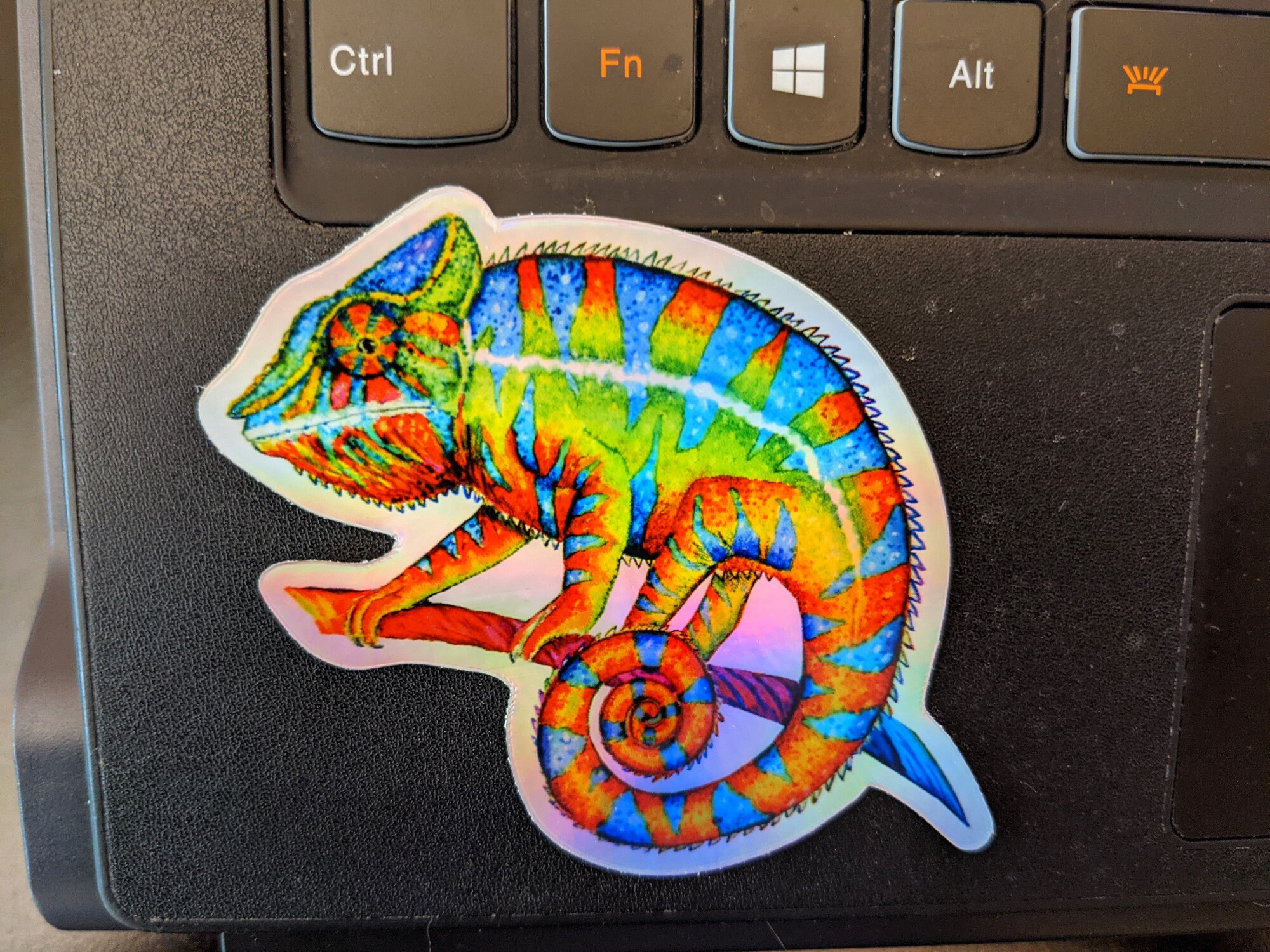 Psychedelic Rainbow Panther Chameleon Trippy Lizard Hippie Reptile ...