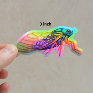 Rainbow Cicada Psychedelic Bugs Trippy Insect Colorful Pop Art Decals ...