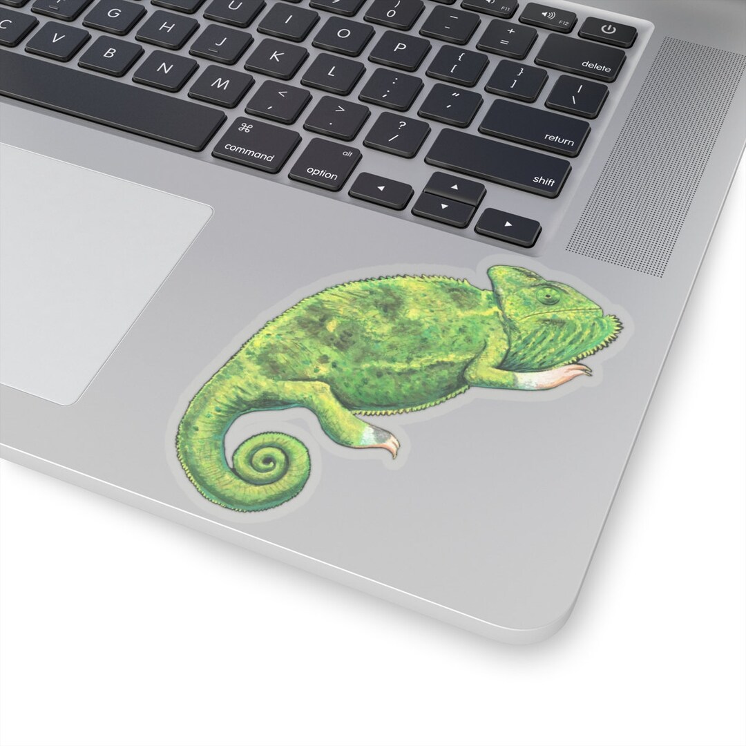 Female Piebald Veiled Chameleon Reptile Lizard Pet Art - Etsy