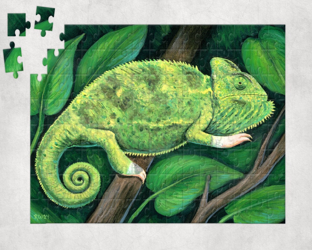 Female Piebald Veiled Chameleon Lizard Reptile Cute Pet Art Jigsaw ...