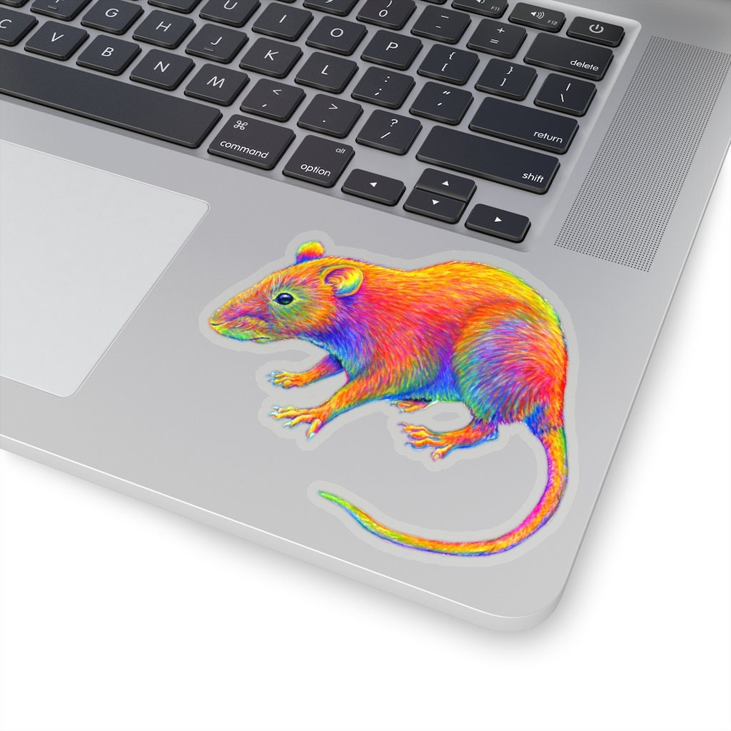 Psychedelic Rainbow Rat Colorful Trippy Rodent Vinyl Stickers - Etsy