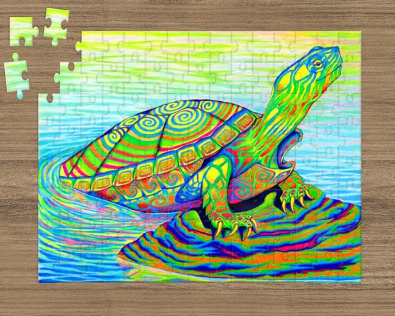 Trippy Turtle Drawings