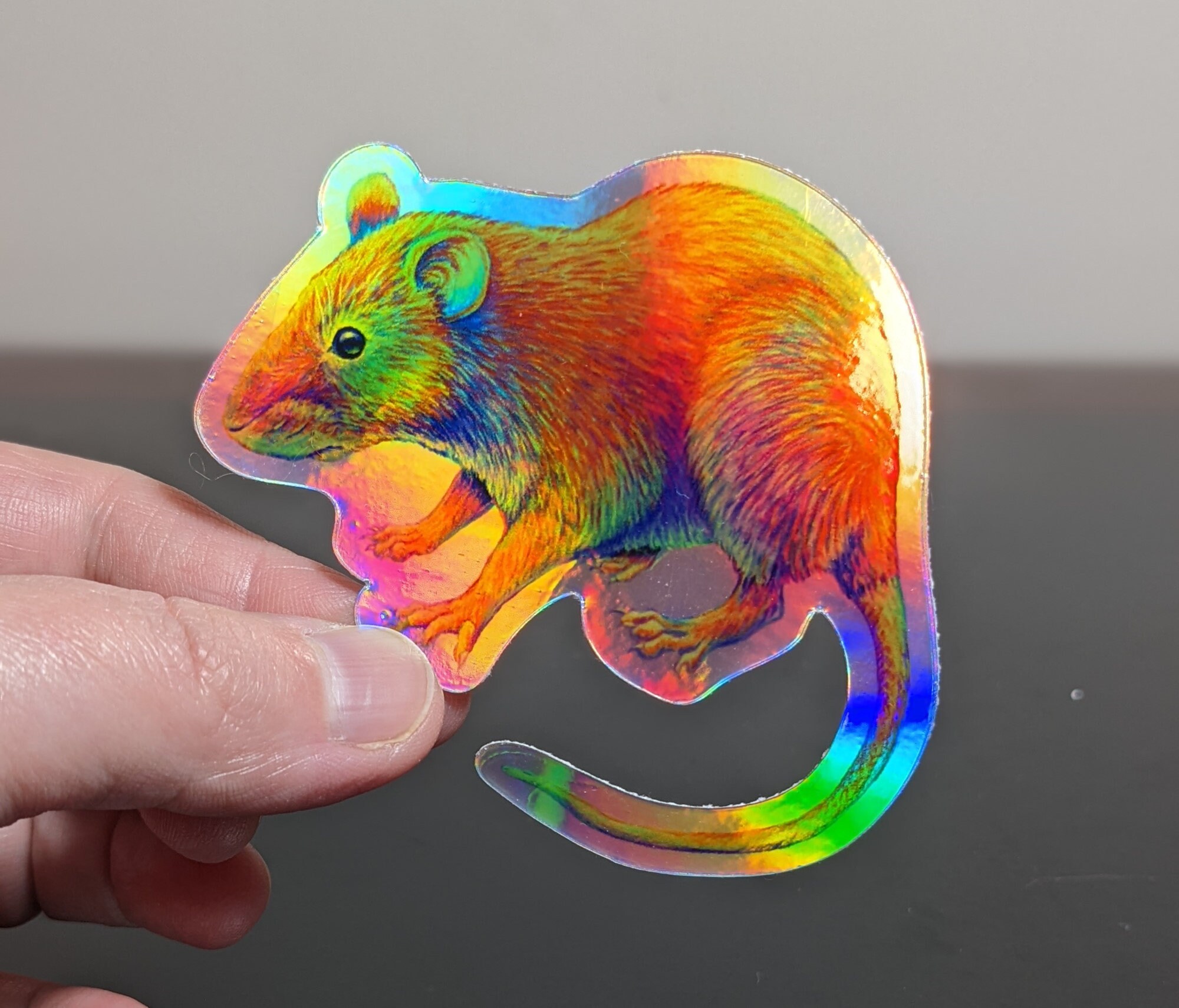 Psychedelic Rainbow Rat Trippy Rodent Groovy Hippie - Etsy