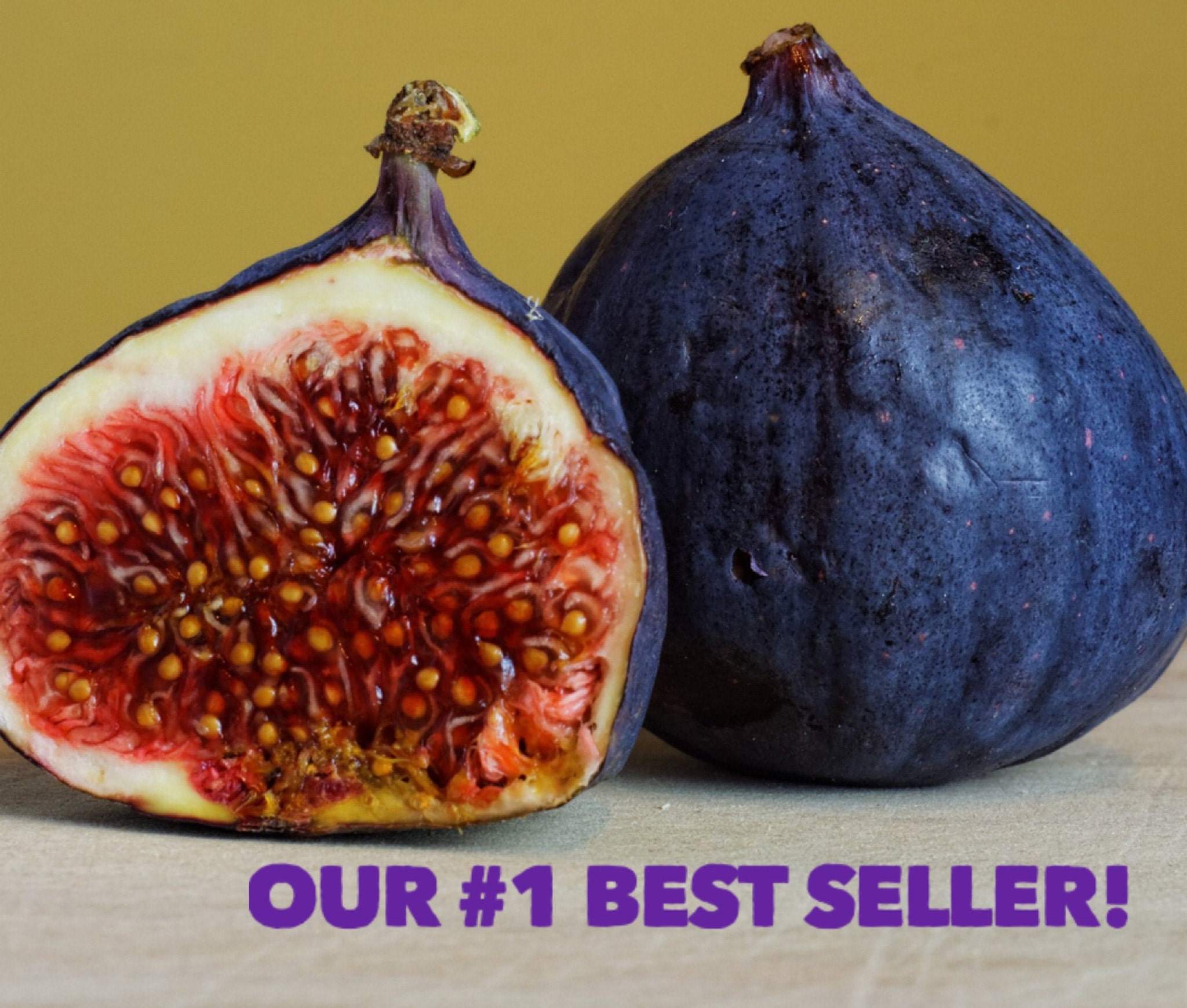 FIG Soap Handmade Natural Vegan Fig Soap | Etsy